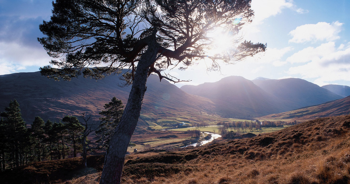 Perth & Kinross Council Ranger Service - Perth and Kinross Health and ... Perth & Kinross Council Ranger Service - Perth and Kinross Health and ...
